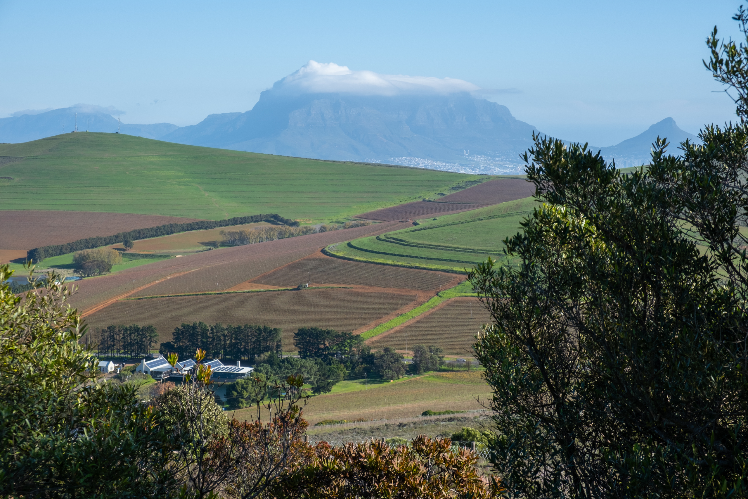 Home - Millennium Medical Services